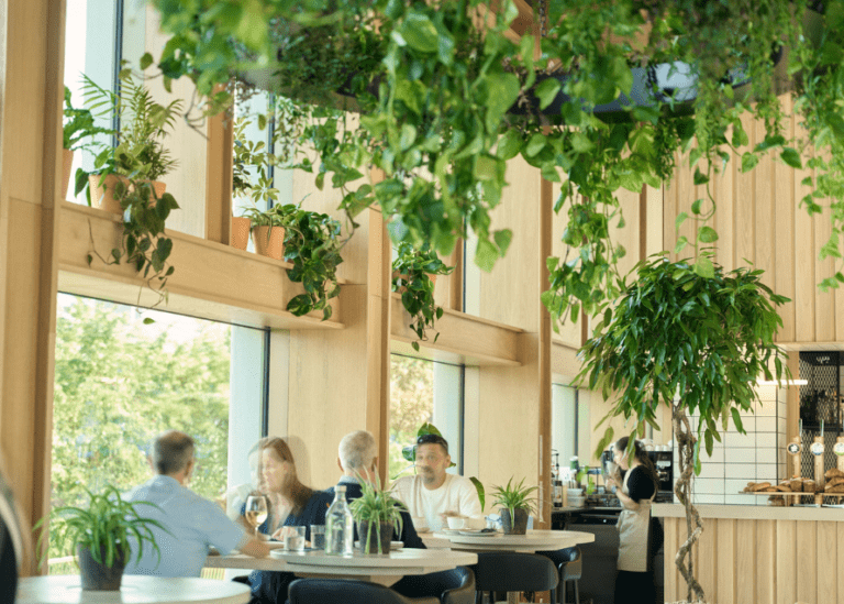 From Shire to City: Wild Goose brings local ingredients to the brunch ...