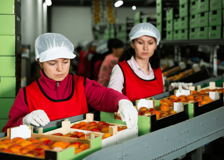 Food and Drink Federation sets out 10 must‑have conditions for UK’s new ...